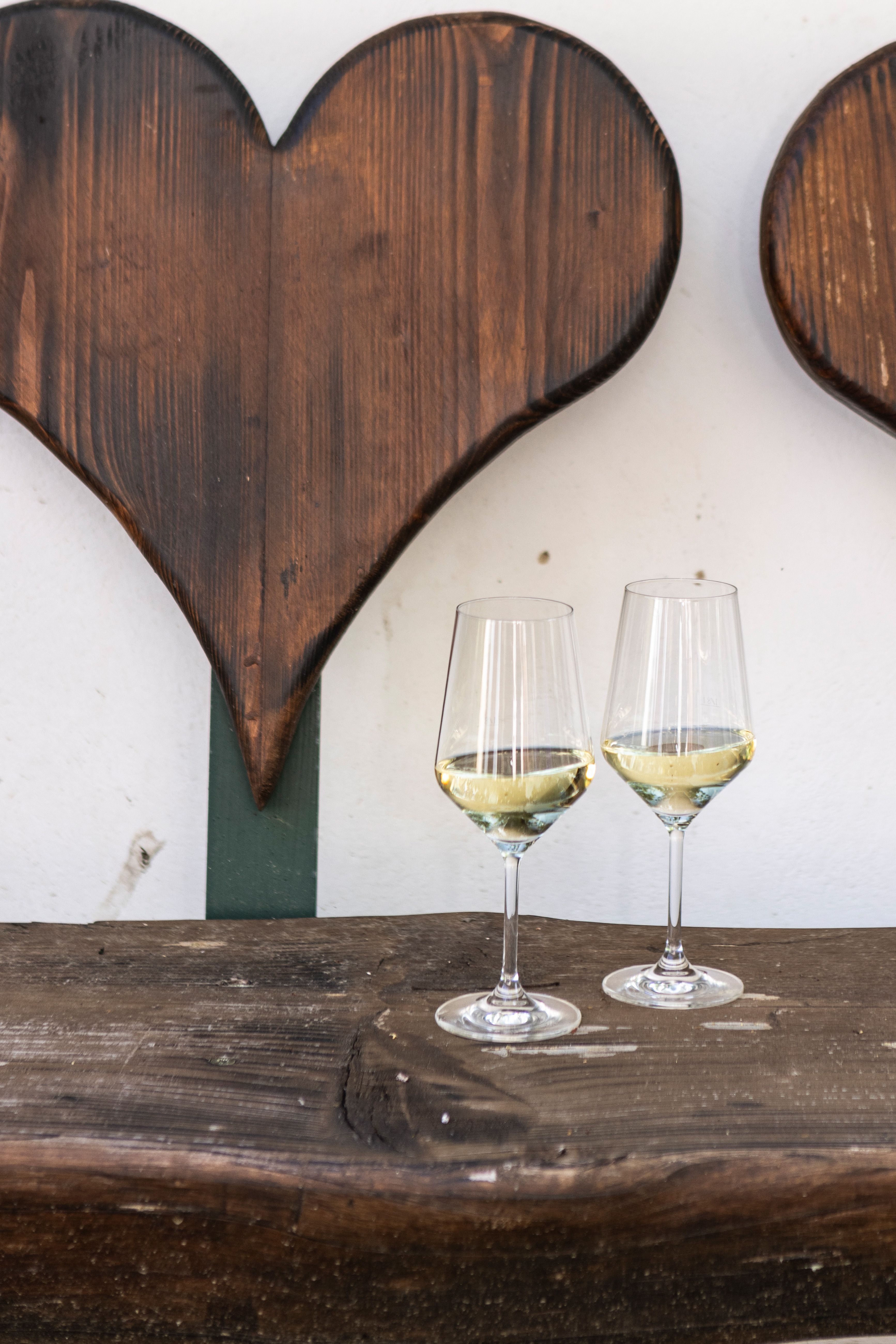 Weinbau Wiedermann | Dolní Rakousko